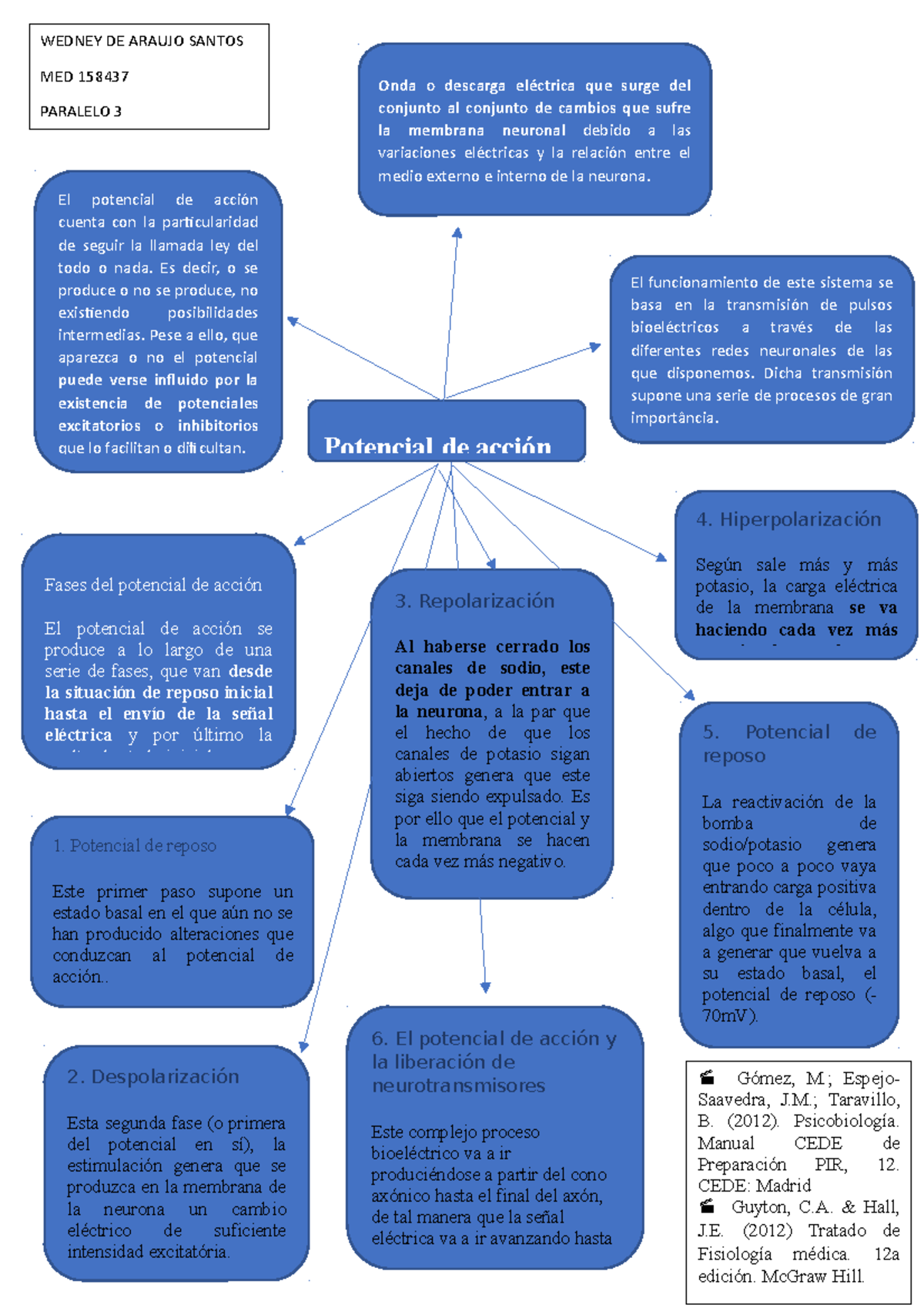 Mapa Potencial Accion El Funcionamiento De Este Sistema Se Basa En La