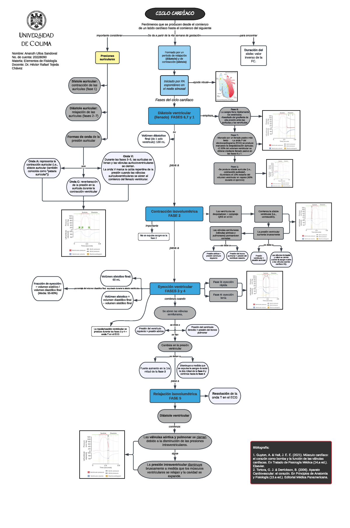 Ciclo Cardíaco Mapa Conceptual Elementos De Fisiología Nombre