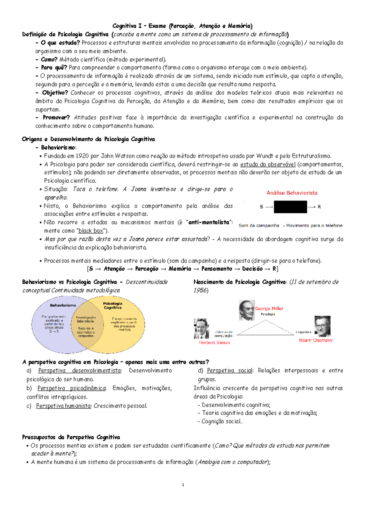 Resumos Para Freq Cognitiva I Exame Perceção Atenção E Memória