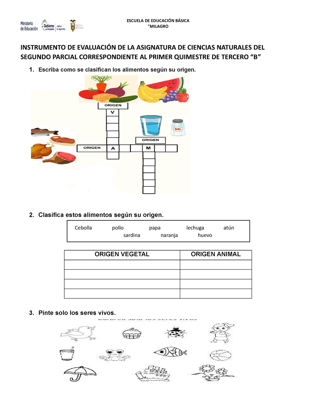 Preguntas De 2do De Ciencias Naturales Escuela De EducaciÓn BÁsica