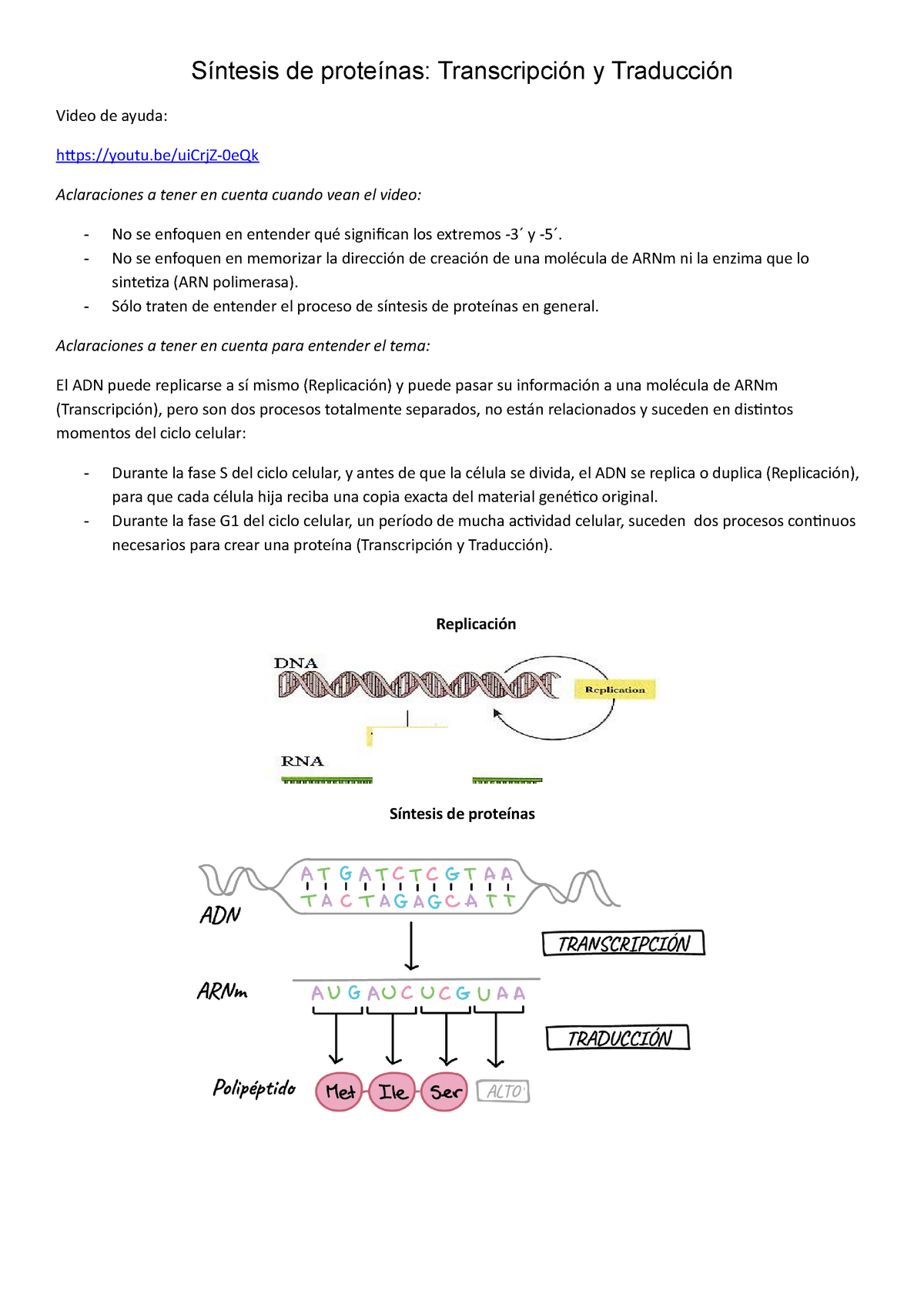 Síntesis De Proteínas Síntesis De Proteínas Transcripción Y