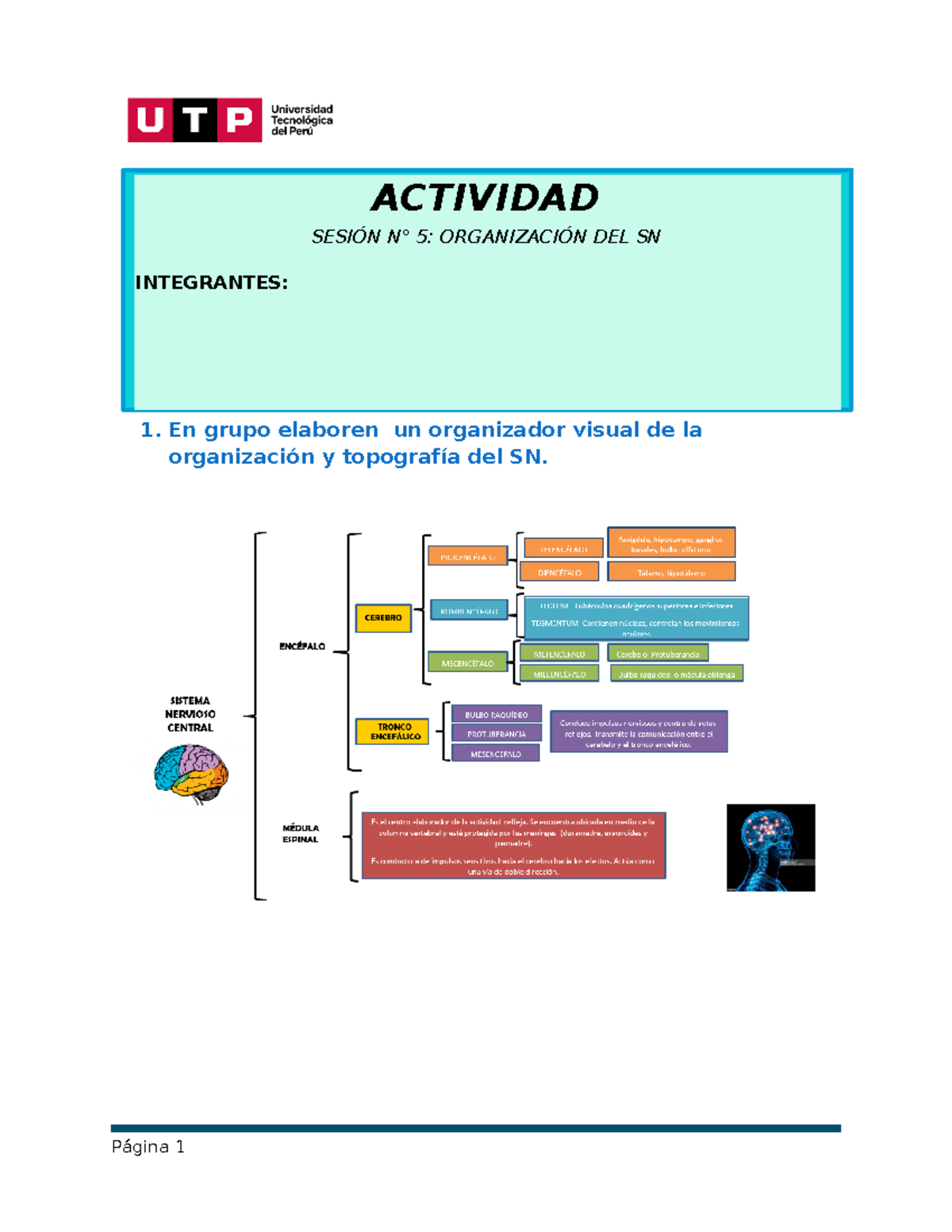 Actividad Práctica 1 En Grupo Elaboren Un Organizador Visual De La