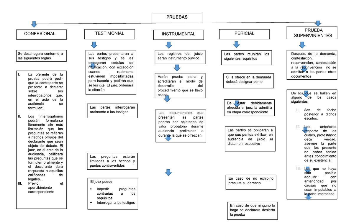 Tipos De Pruebas En El Derecho Inspeccion Judicial Im