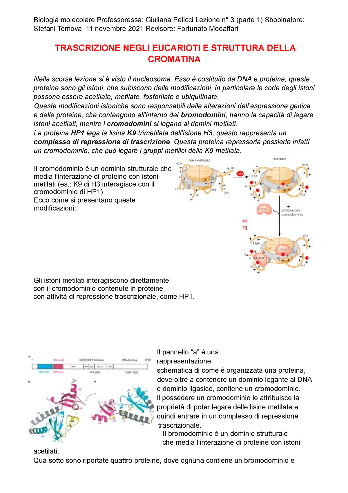 Biologia Molecolare 3 Pt1 Biologia Molecolare Professoressa