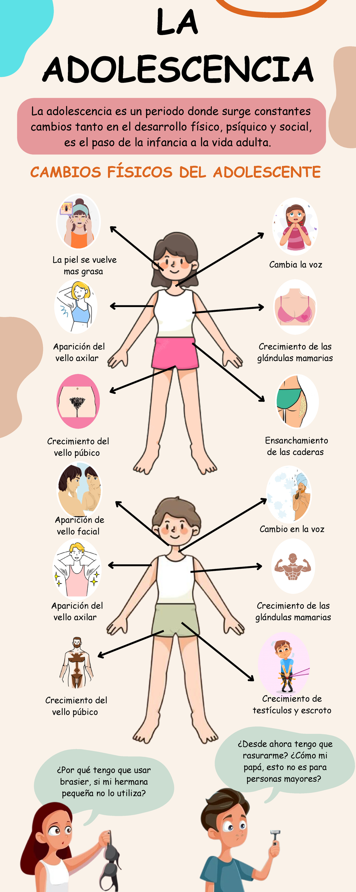 Infografía Desarrollo Físico Y Desórdenes Alimenticios De La