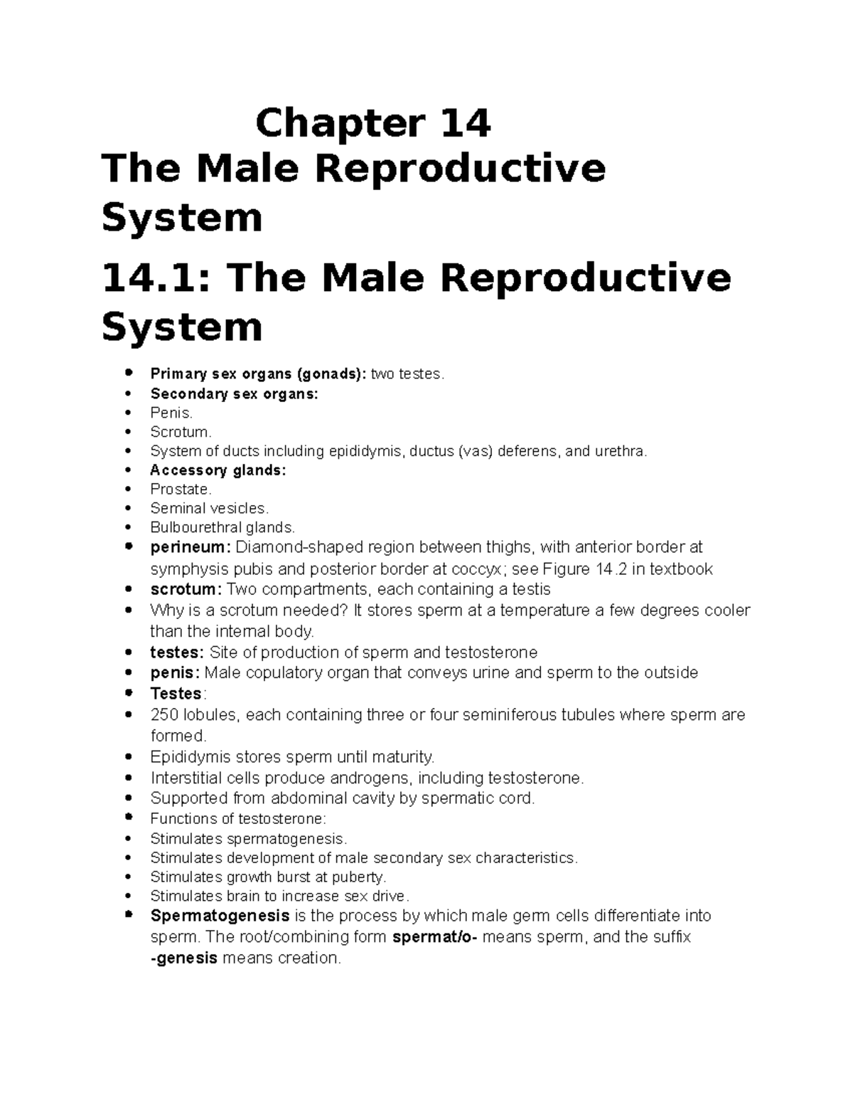 Exam Notes On Chapter 14 Med Term Chapter 14 The Male Reproductive