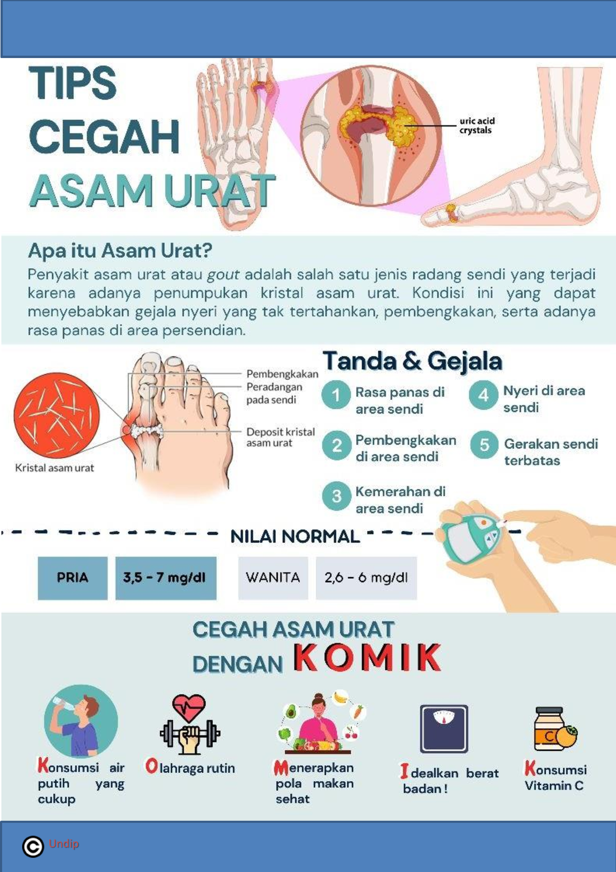 Leaflet Asam Urat Asam Urat Keperawatan Undip Studocu