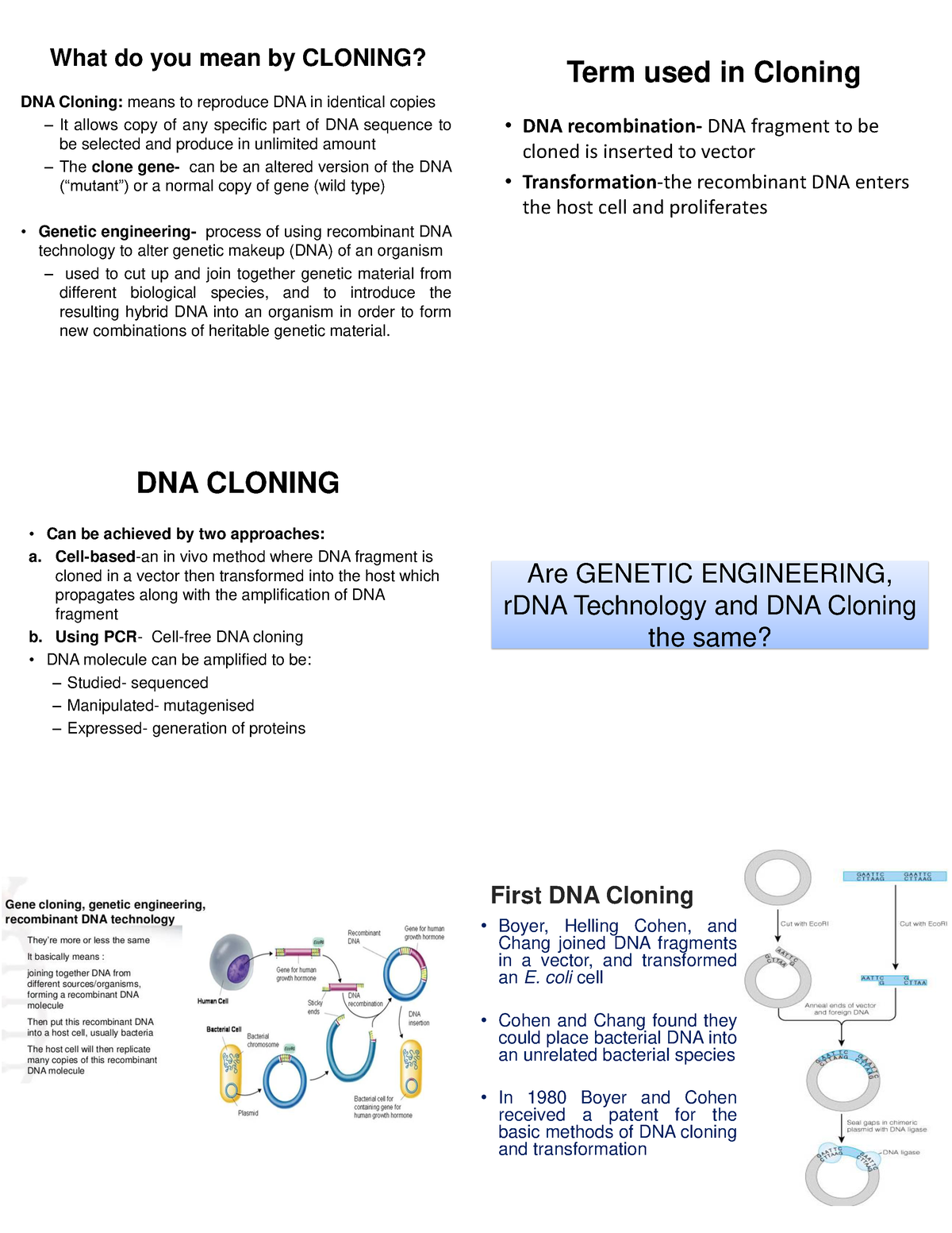 Dna Cloning First Sem What Do You Mean By Cloning Dna Cloning