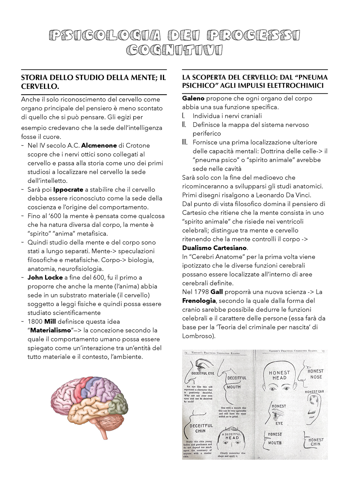 Psico Dei Processi Cognitivi Pdf Psicologia Dei Processi Cognitivi