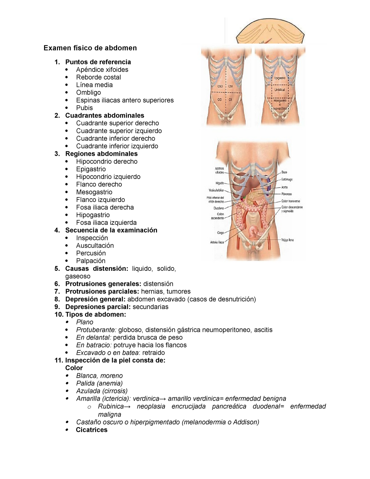 Abdomen Resumen A Computadora Examen Físico De Abdomen Puntos De