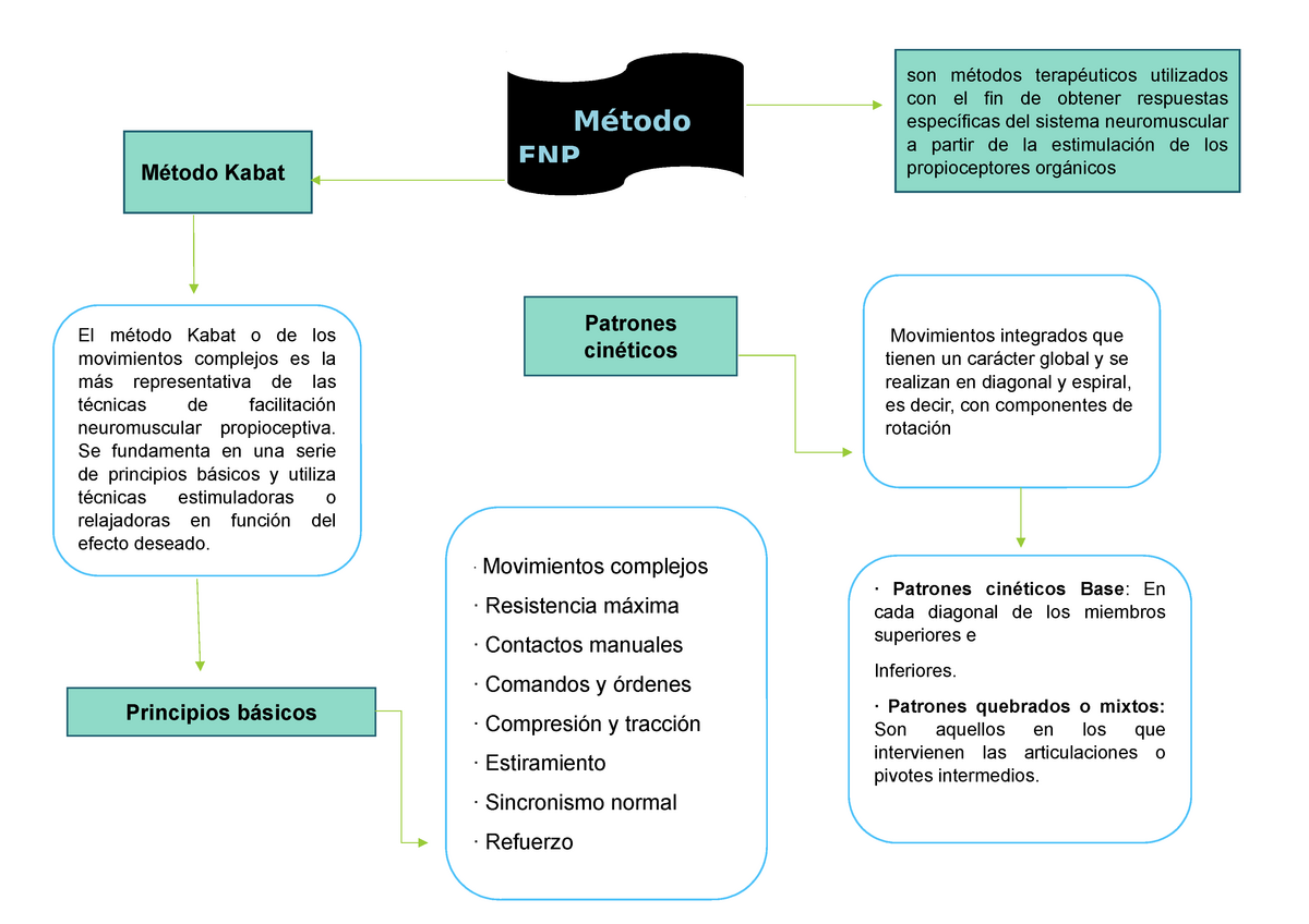 Fnp Cuadro Sinóptico Sobre El Fnp Método Fnp · Patrones Cinéticos