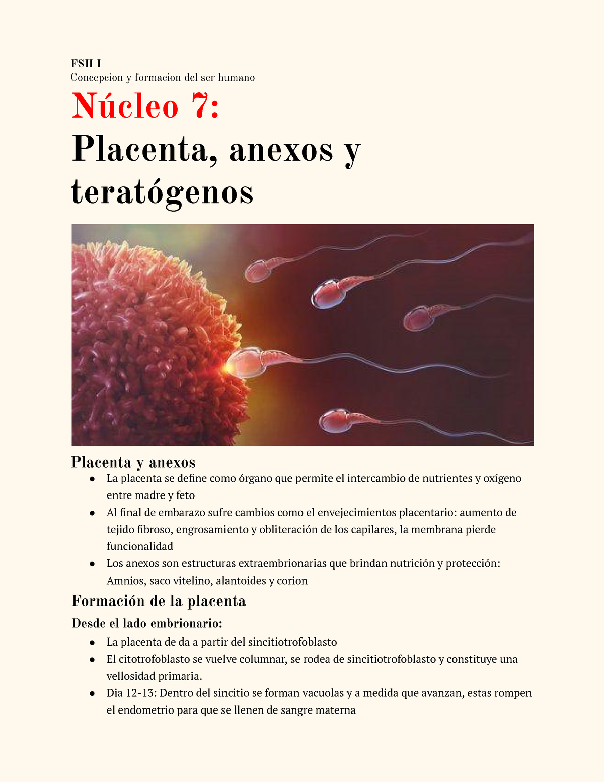 Nucleo 7 Placenta Anexos Y Teratógenos Fsh I Concepcion Y Formacion