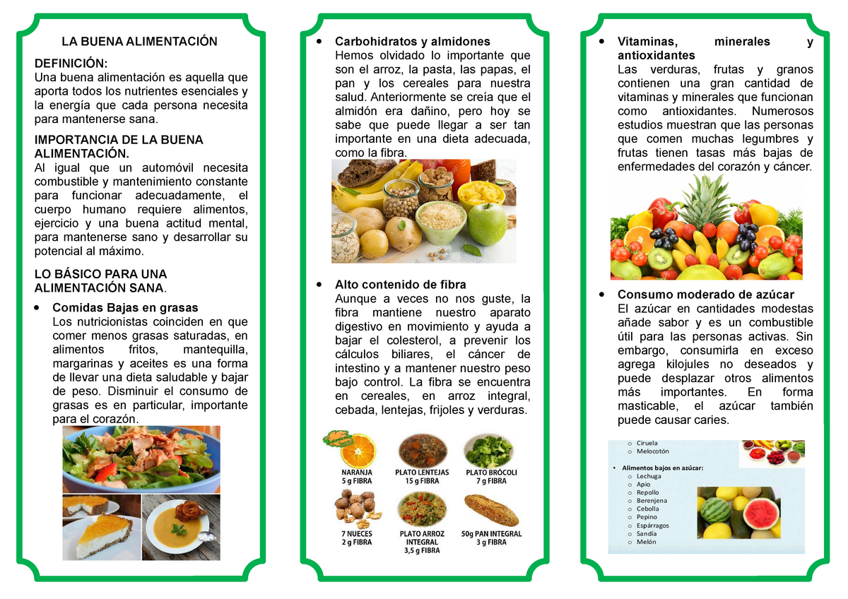 Triptico Alimentacion Saludable Desayunodocx Nutrientes Antioxidante Images