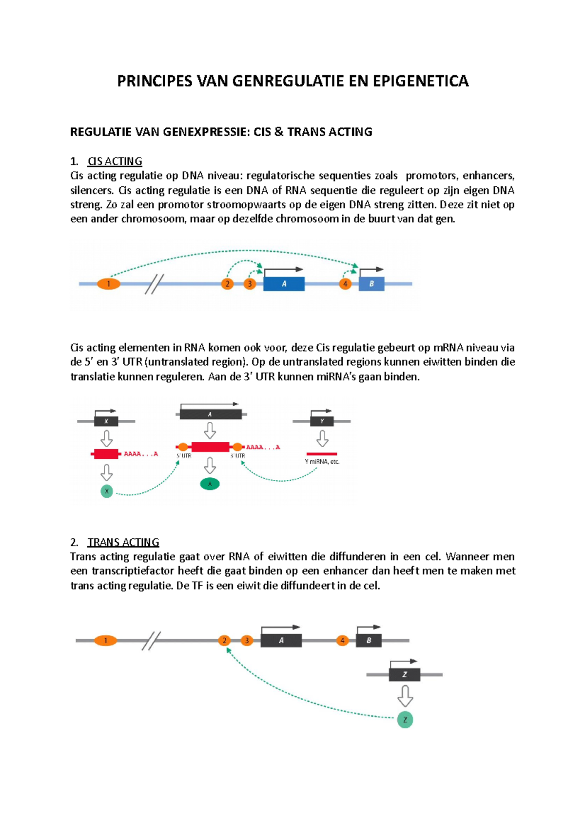 1 Principes Van Genregulatie En Epigenetica Principes Van