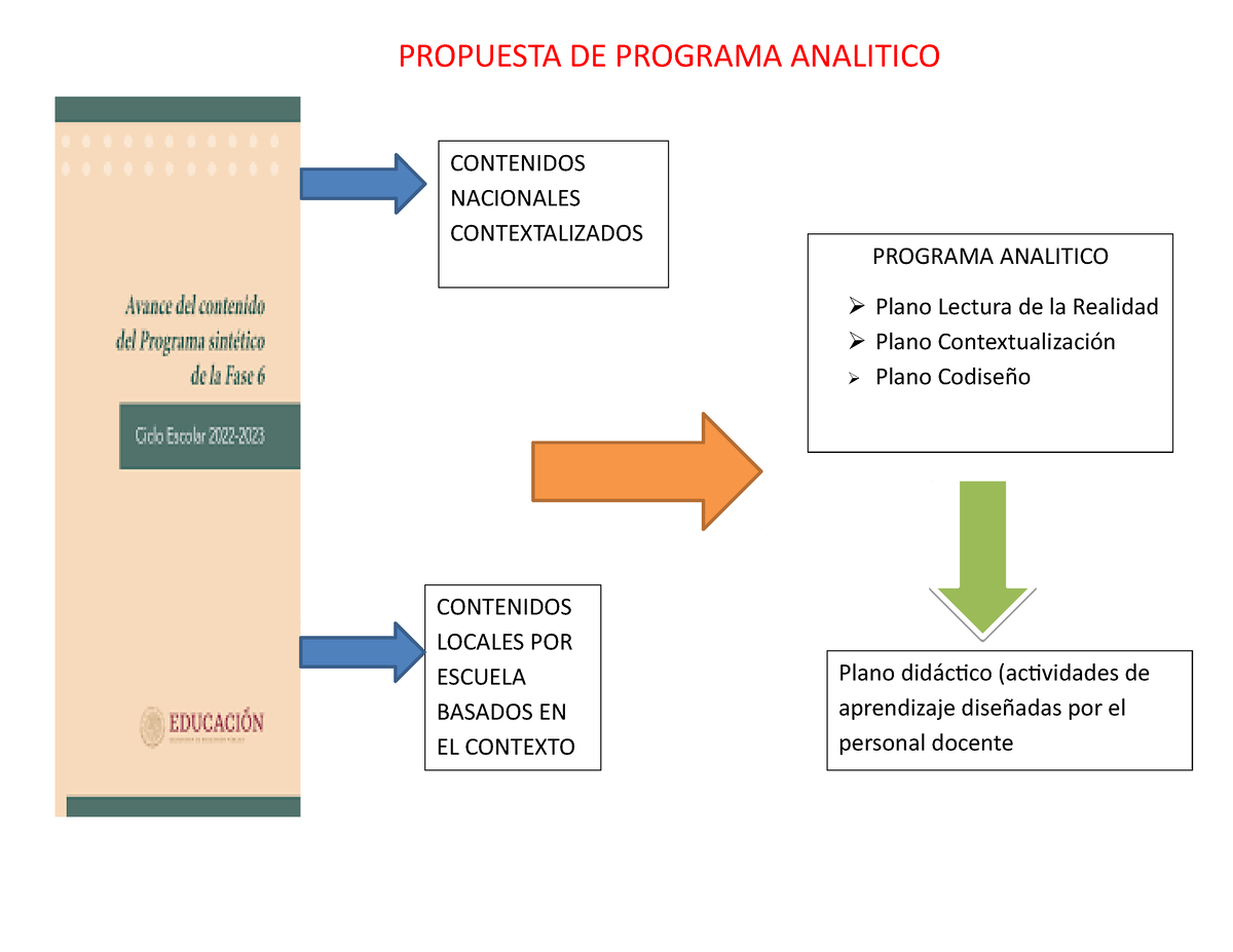 Codiseño Materias Abordadas Propuesta De Programa Analitico Plano