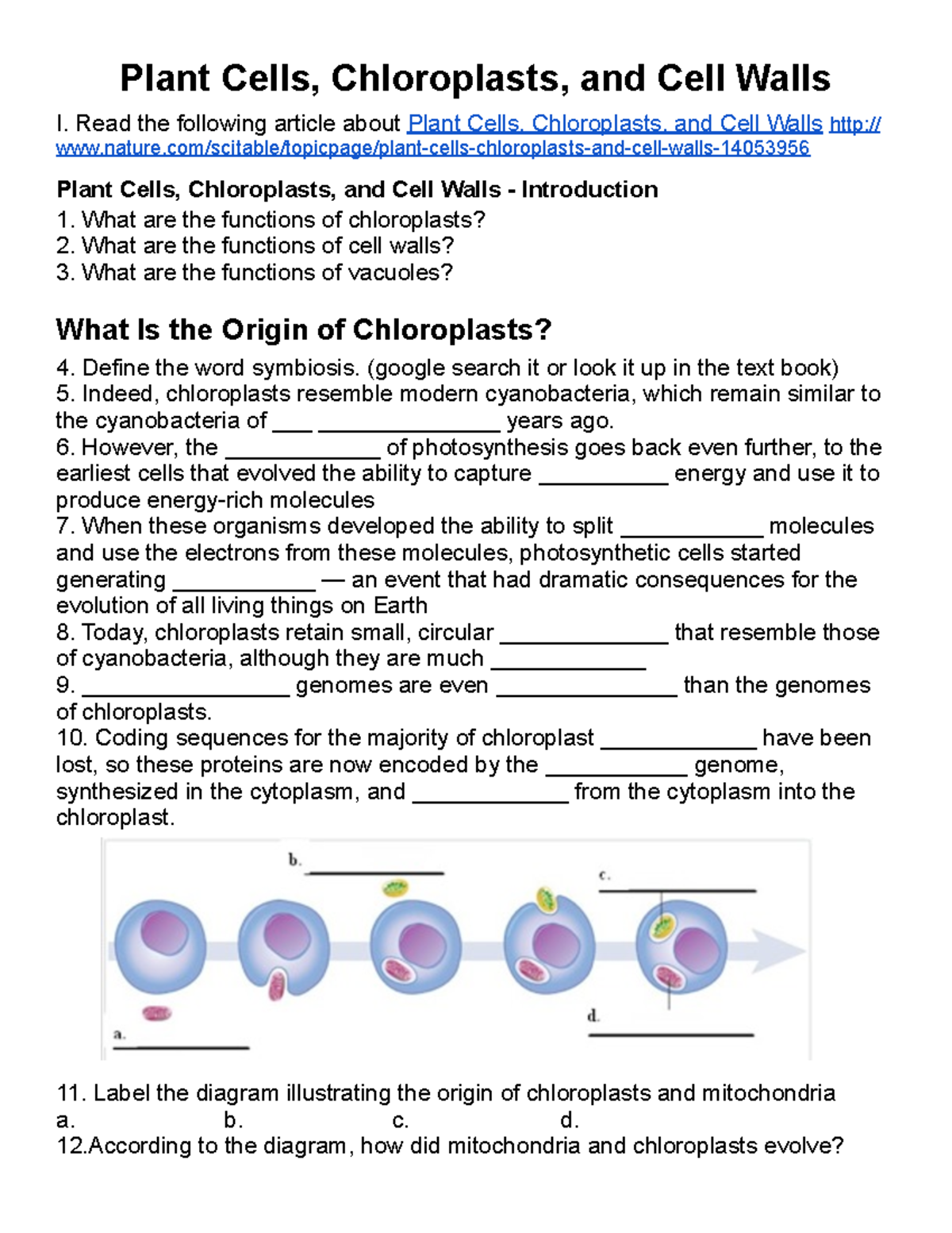 Pdf Plant Cells Chloroplasts Cell Walls Plant Cells Chloroplasts