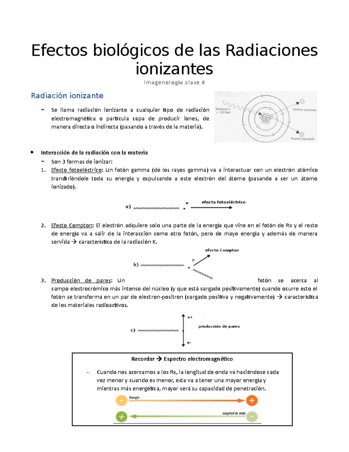 6 Efectos Biológicos De Las Radiaciones Ionizantes Efectos Biológicos