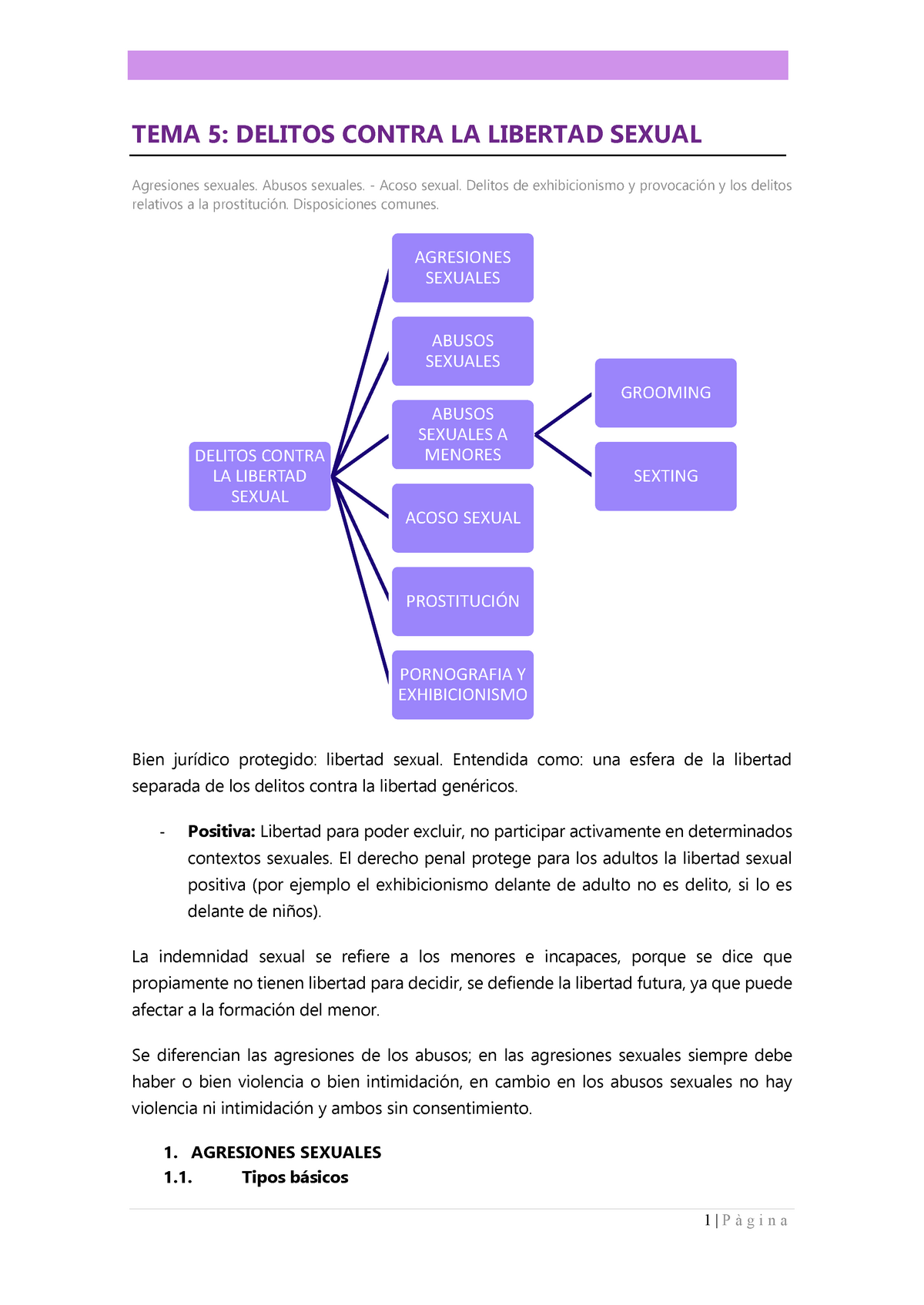 Tema 5 Delitos Contra La Libertad Sexual Dret Penal Iii Tema 5