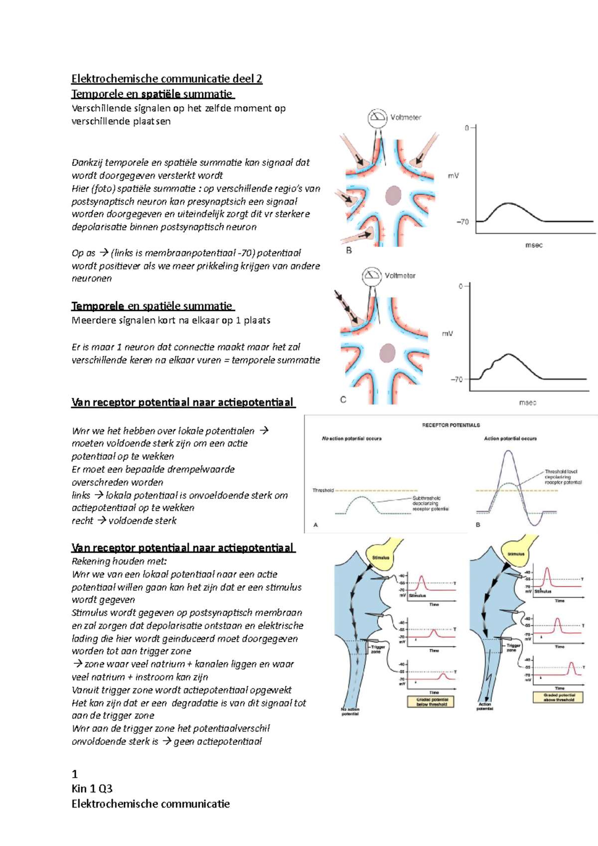 Elektrochemische Communicatie Deel 2 Neurologische Revalidatie