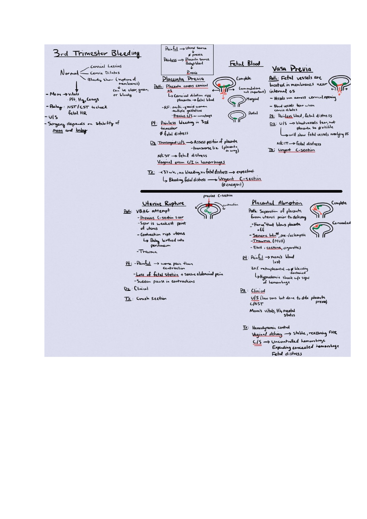 Untitled Document 3rd Trimester Bleeding Notes Ob Gy546 Studocu