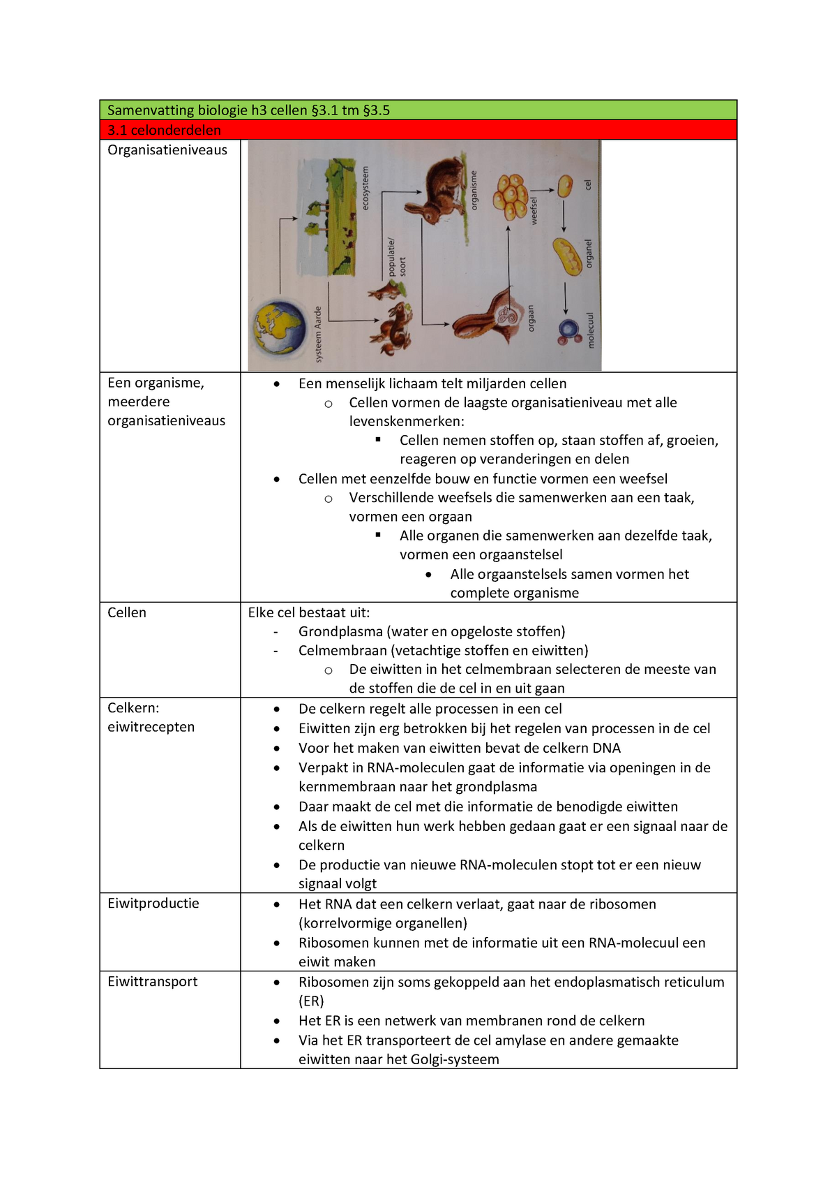 Samenvatting Biologie Hoofdstuk 34910 Samenvatting Biologie H3