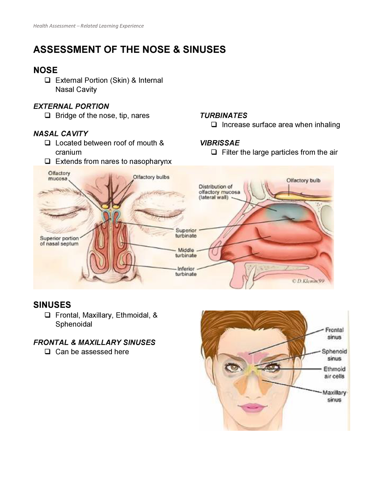 Nose Assessment Nose Assessment Assessment Of The Nose And Sinuses