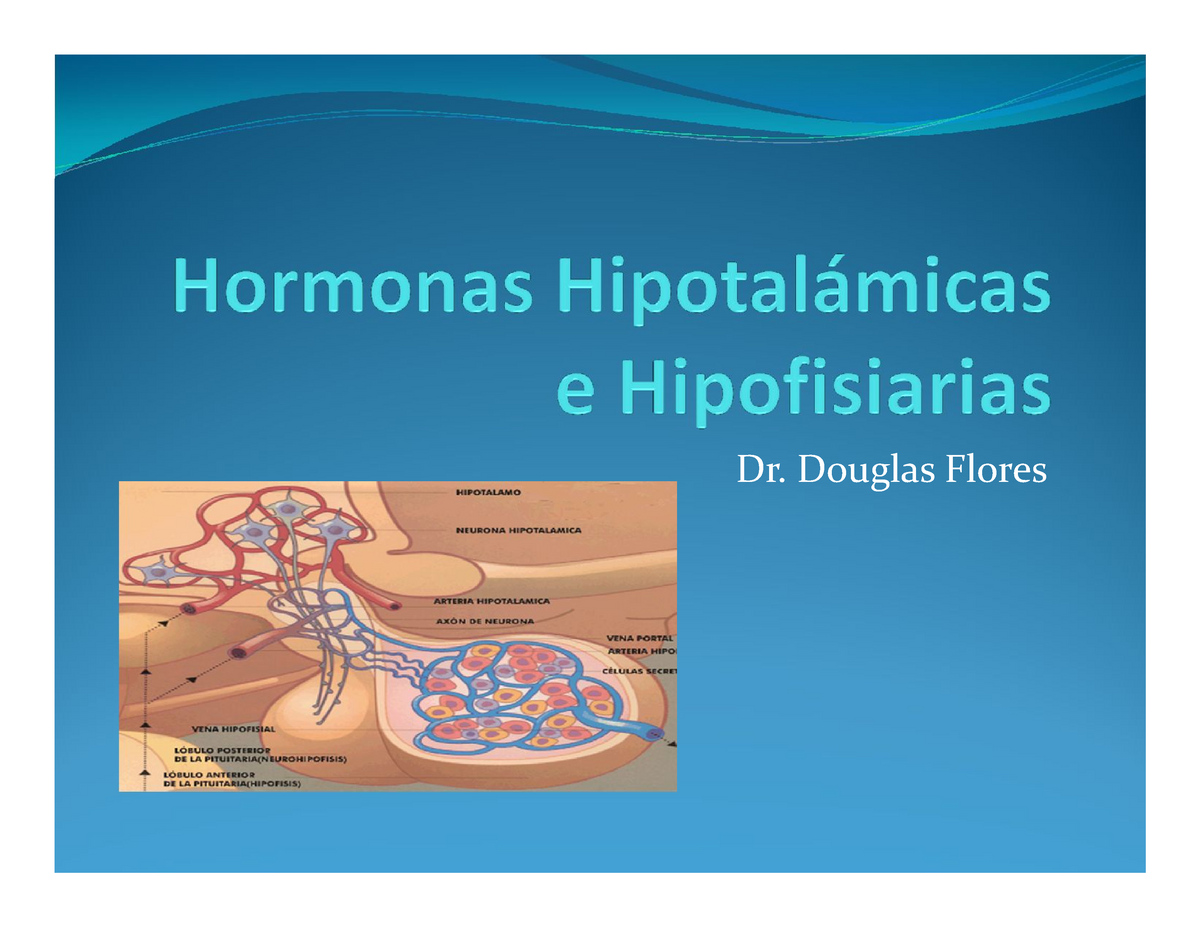 Hormonas Hipotalámicas E Hipofisiarias R Dr Douglas Flores Hormona