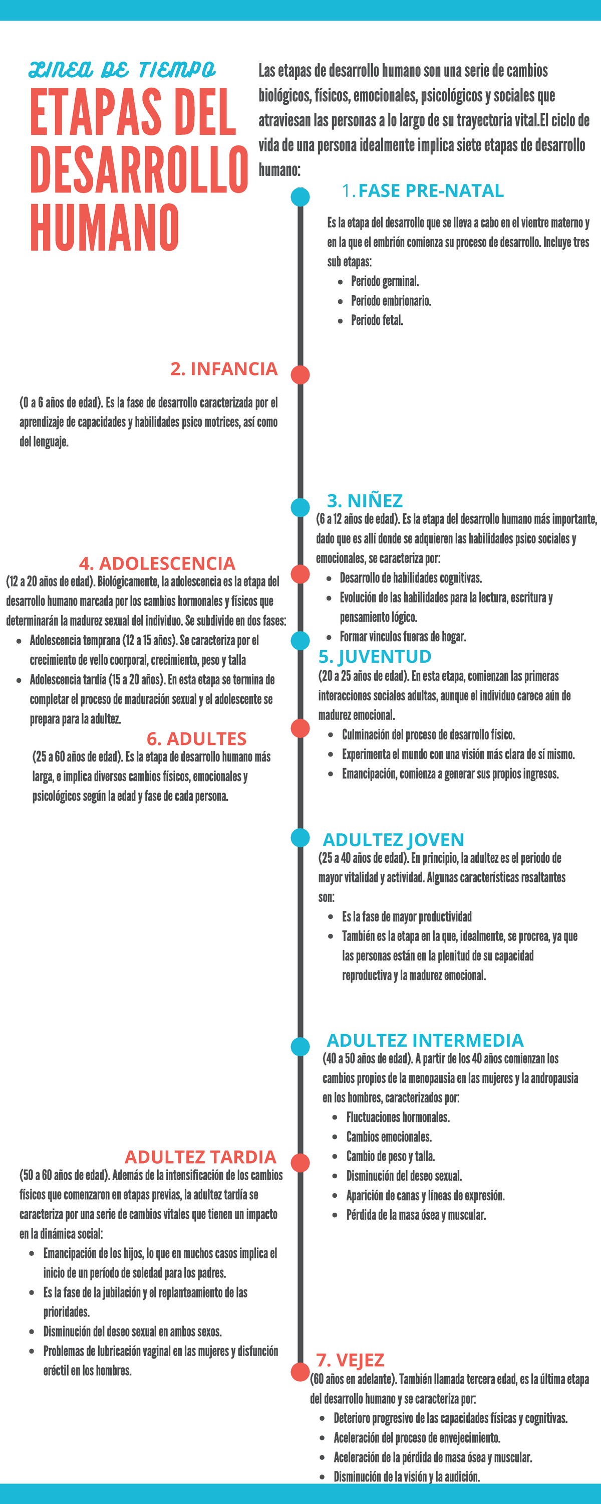 Linea De Tiempo De Las Etapas Del Desarrollo Humano Utm Studocu Porn