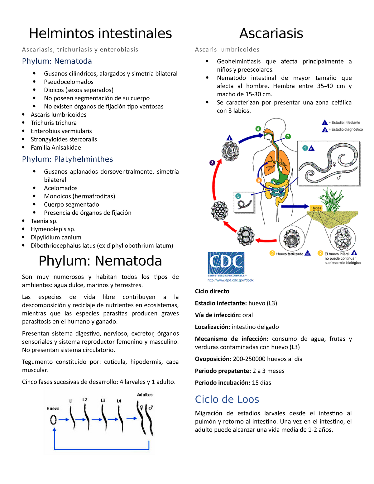 Infecciones Por Helmintos Intestinales Helmintos Intestinales