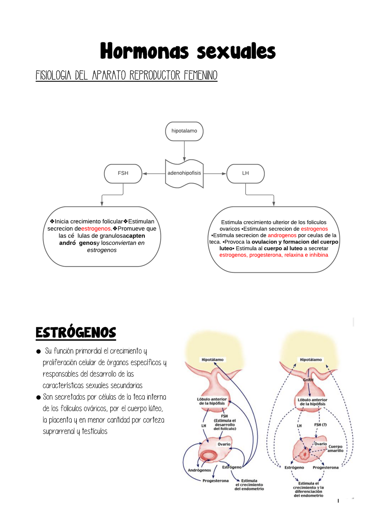 Hormonas Sexuales Fisiologia Hormonas Sexuales Fisiologia Del