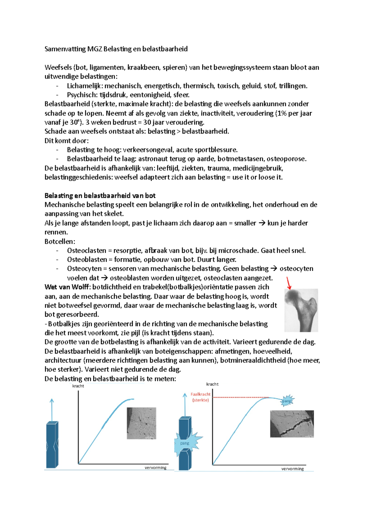 Belasting En Belastbaarheid Samenvatting Mgz Belasting En