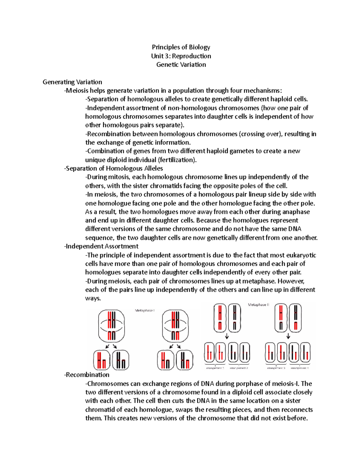 Ap Bio Genetic Variation Principles Of Biology Unit 3 Reproduction