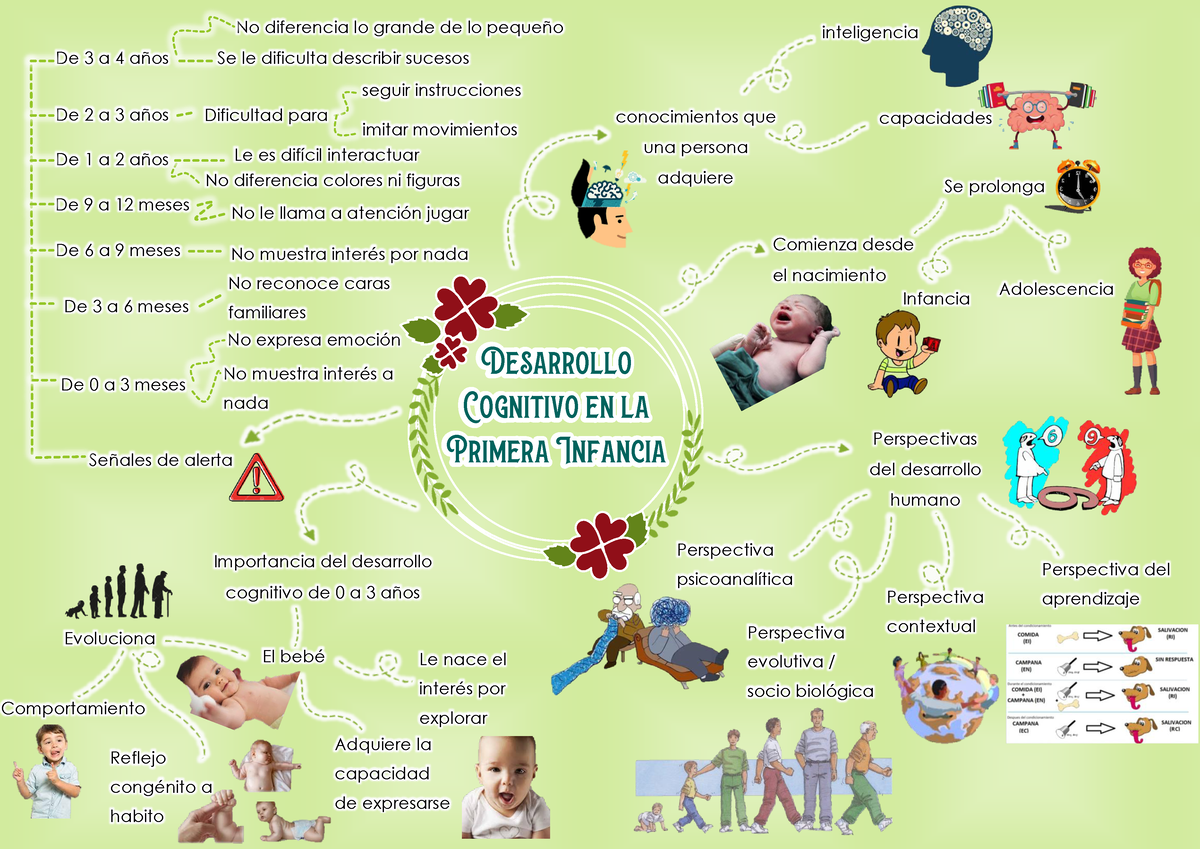 Arriba 36 Imagen Mapa Mental Del Desarrollo Cognitivo Abzlocalmx