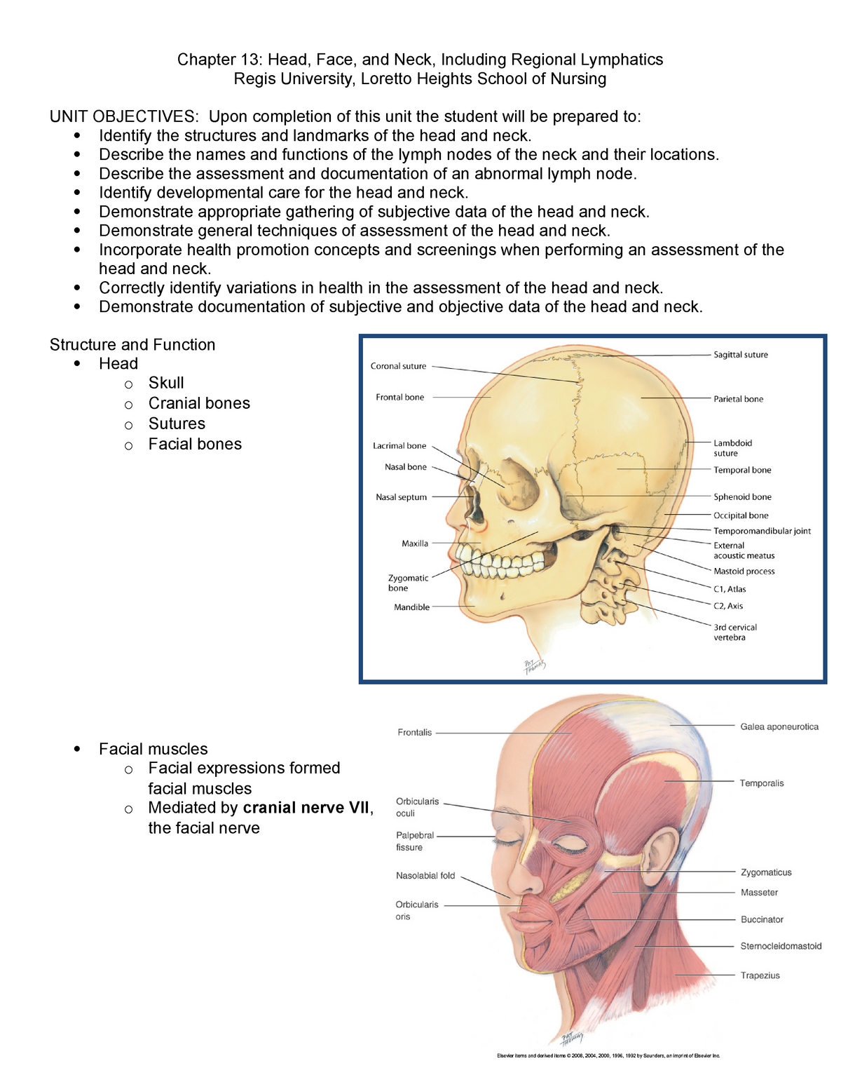 Chapter 13 Head Face Neck Notes Chapter 13 Head Face And Neck