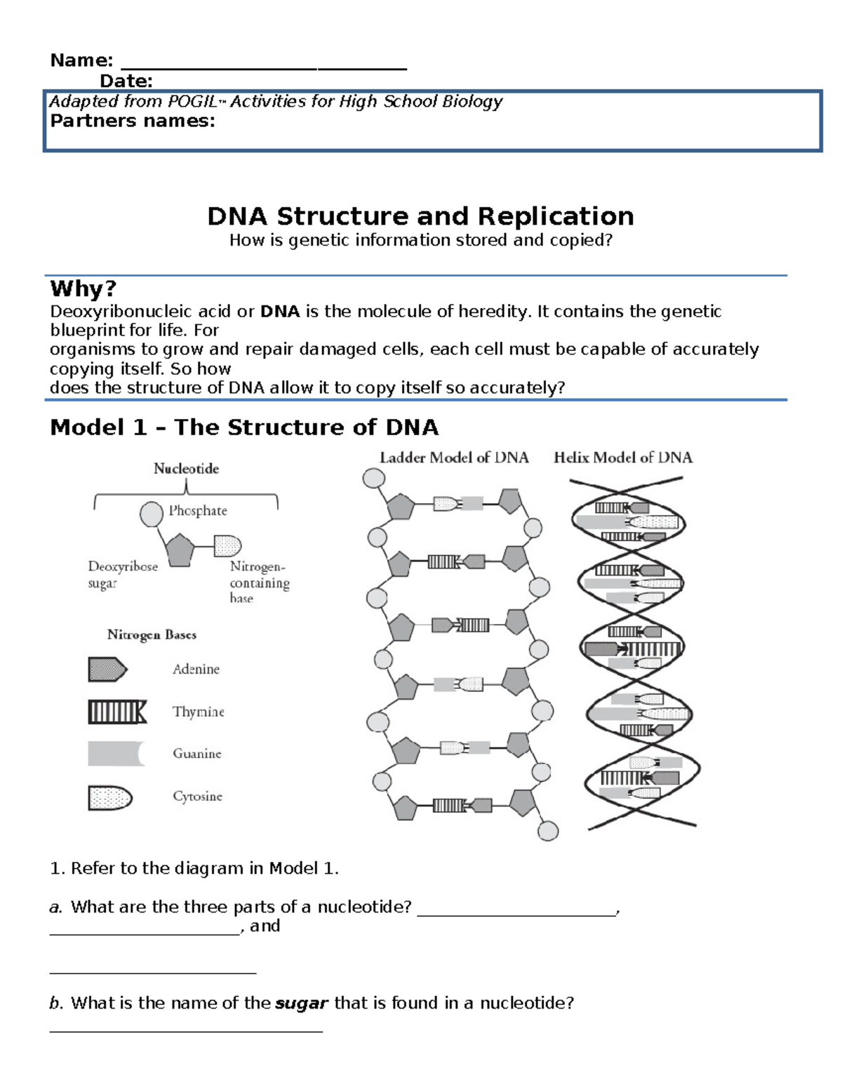 17 Pogil Dna Structure Name Date