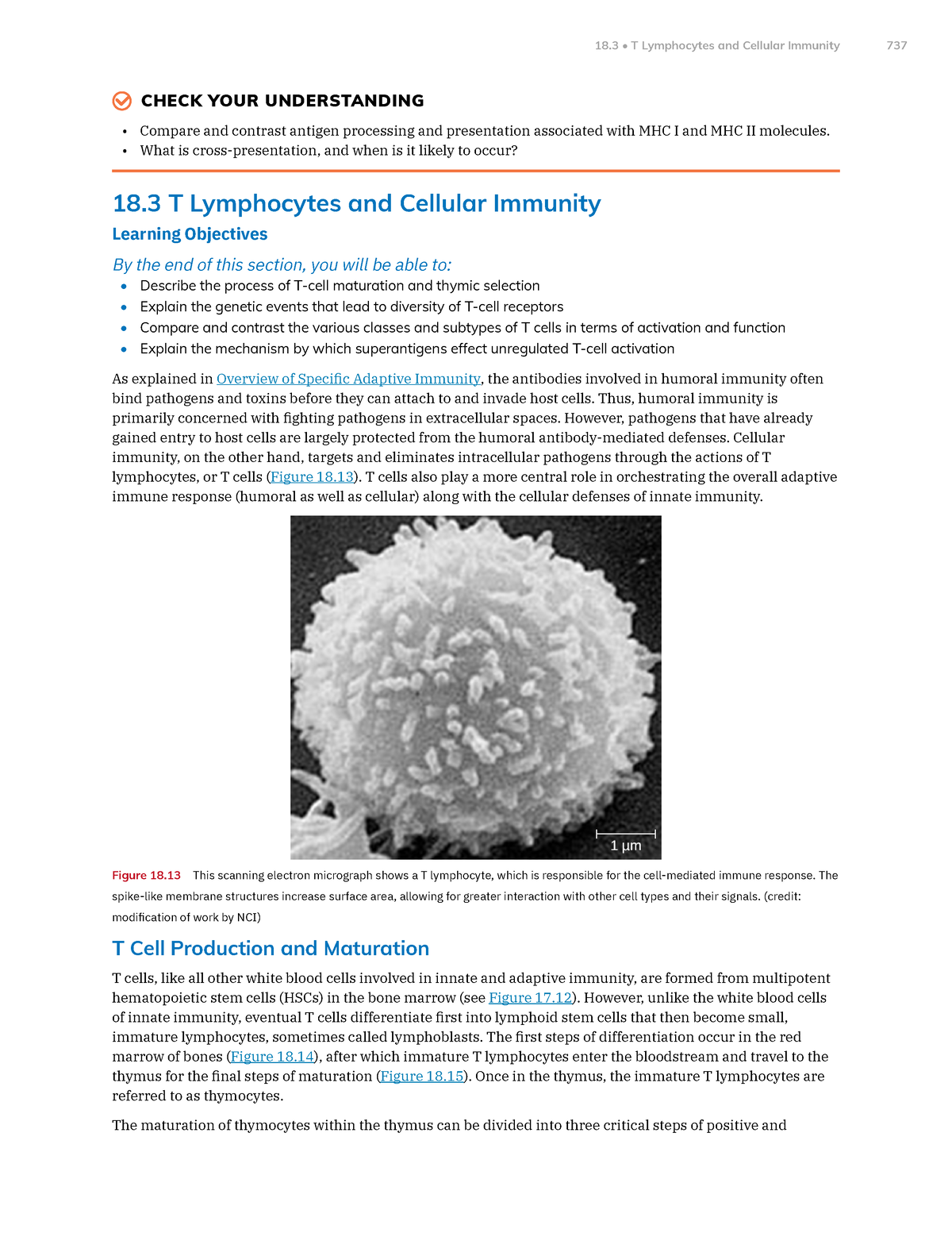 T Lymphocytes And Cellular Immunity Check Your Understanding Compare