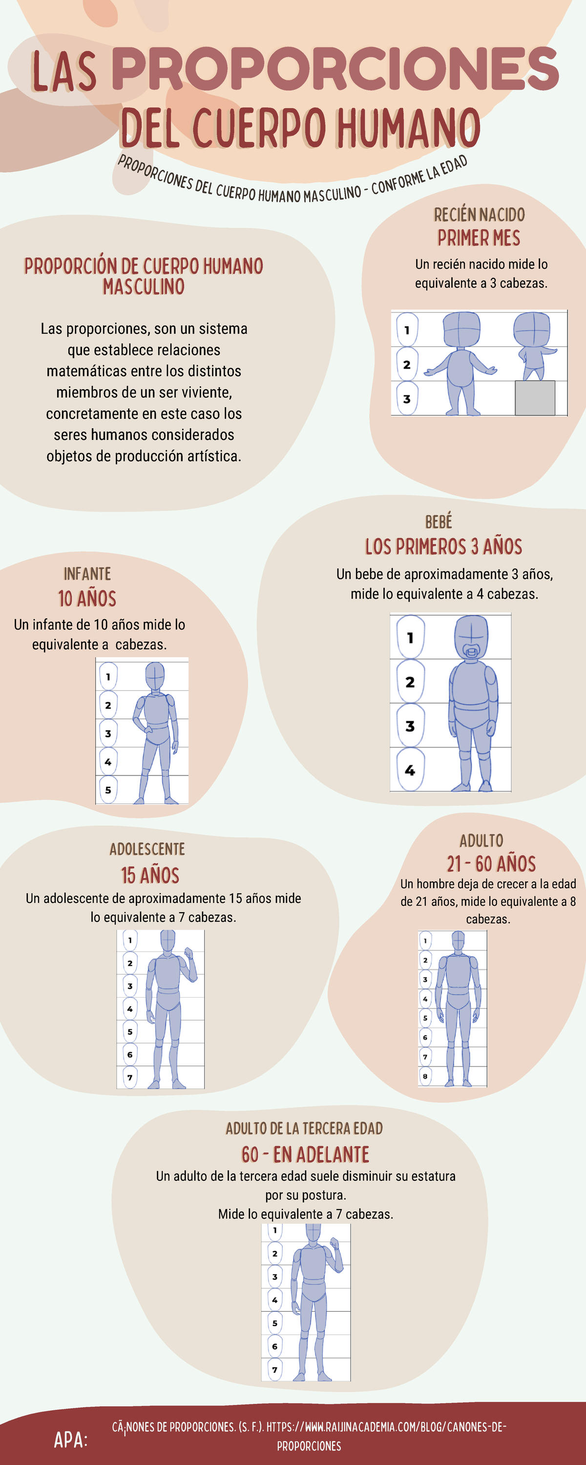 Infografiaevolucionhumanailustradocoloresneutrales Del Cuerpo