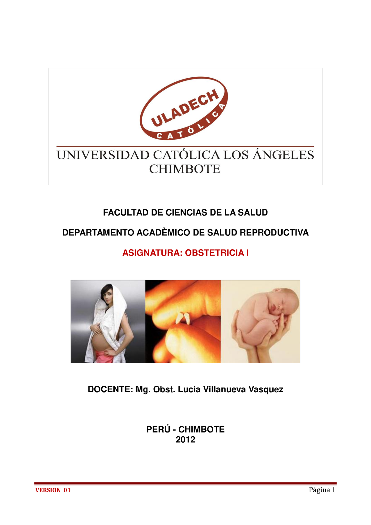 Texto Obstetricia I Ayuda Libro Facultad De Ciencias De La Salud