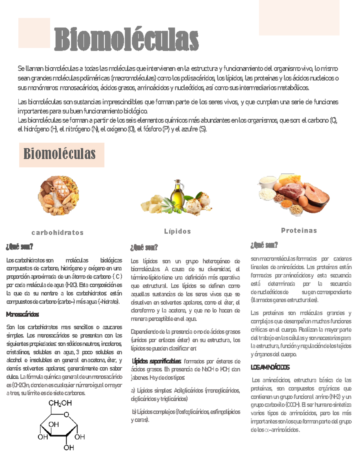 Biomoleculas Parte Ii Lipidos Carbohidratos Proteinas Y Acidos Themelower