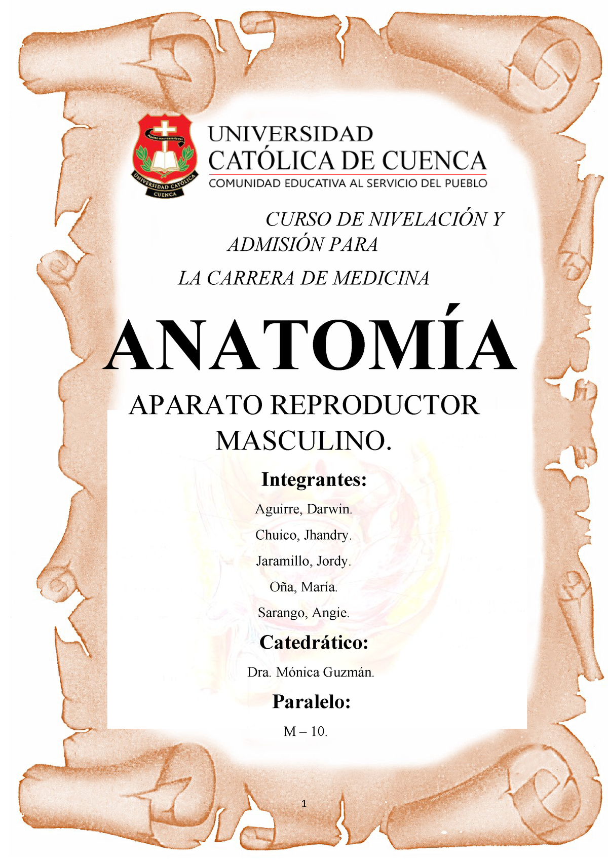 Patologias Del Aparato Reproductor Masculino By Briza