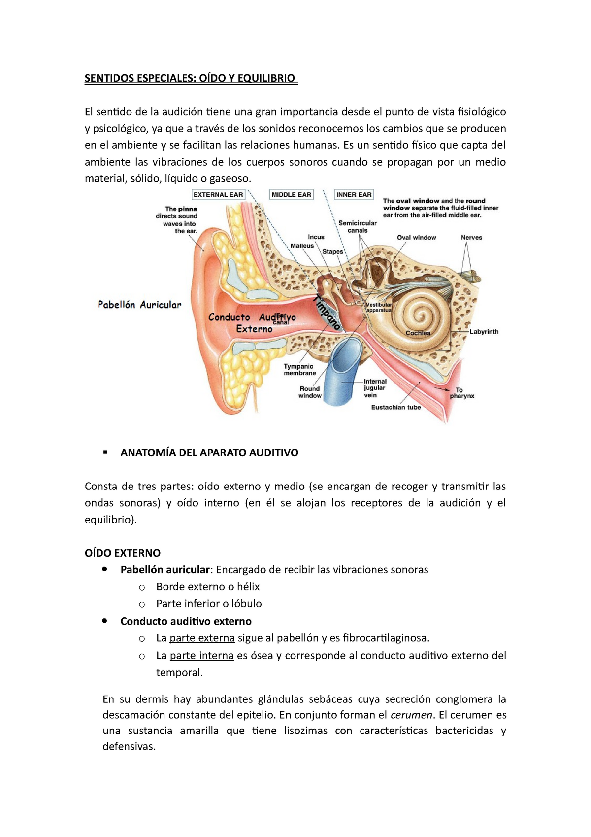 Audicion Y Eq AudiciÓn Y Equilibrio Sentidos Especiales Y