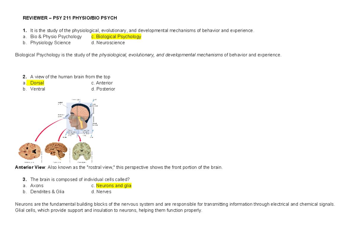 Reviewer Biopsy Ch 1 Summary Bachelor Of Science In Psychology