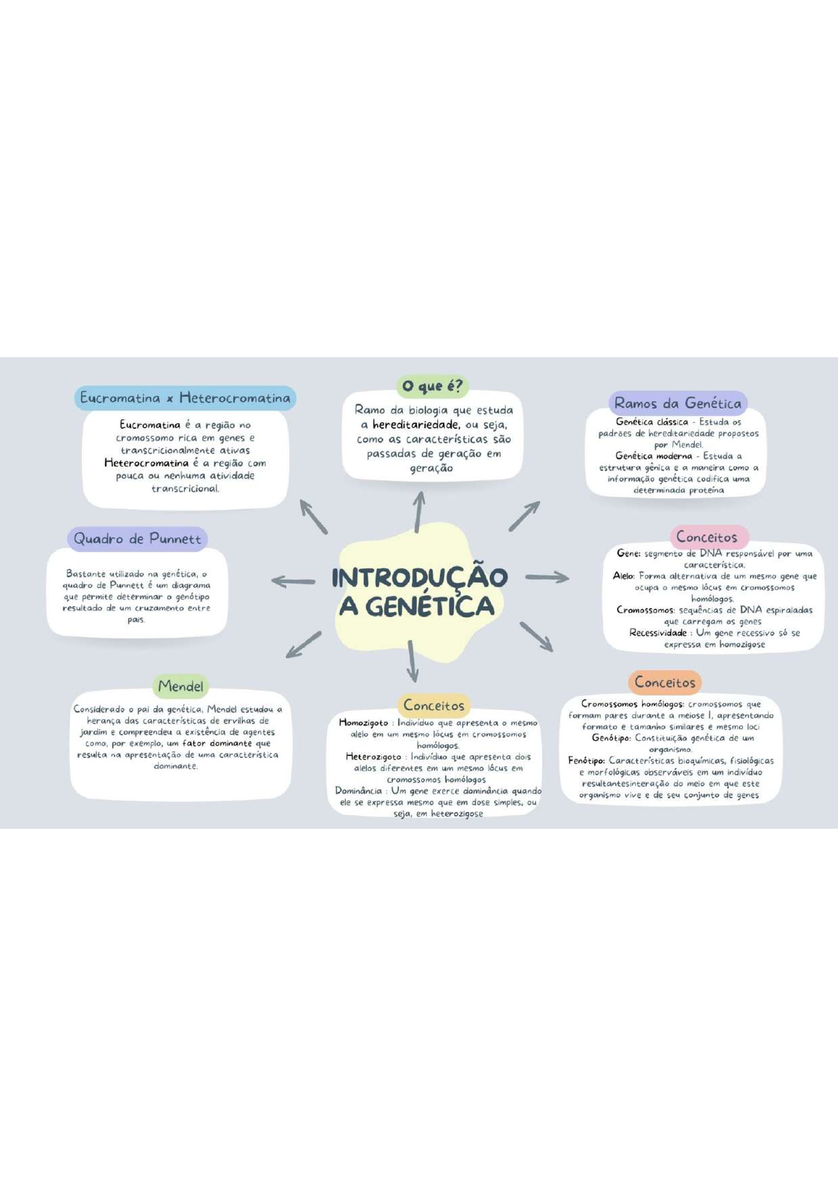 Mapas Mentais Introdutórios Genética Studocu