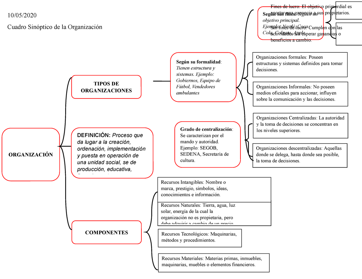 Estructura De Cuadro Sinoptico