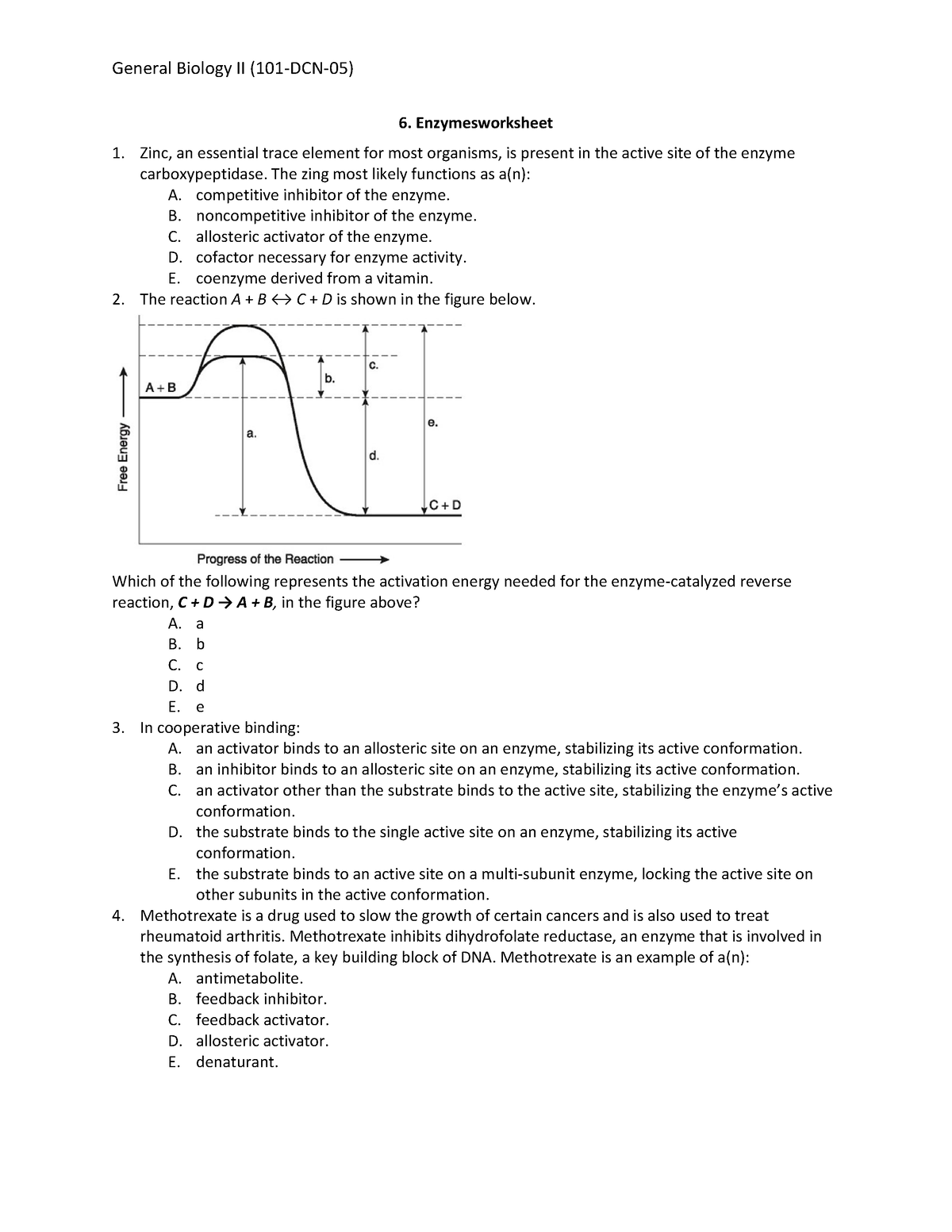 Enzymeworksheet General Biology Ii 101 Dcn 05 Enzymesworksheet