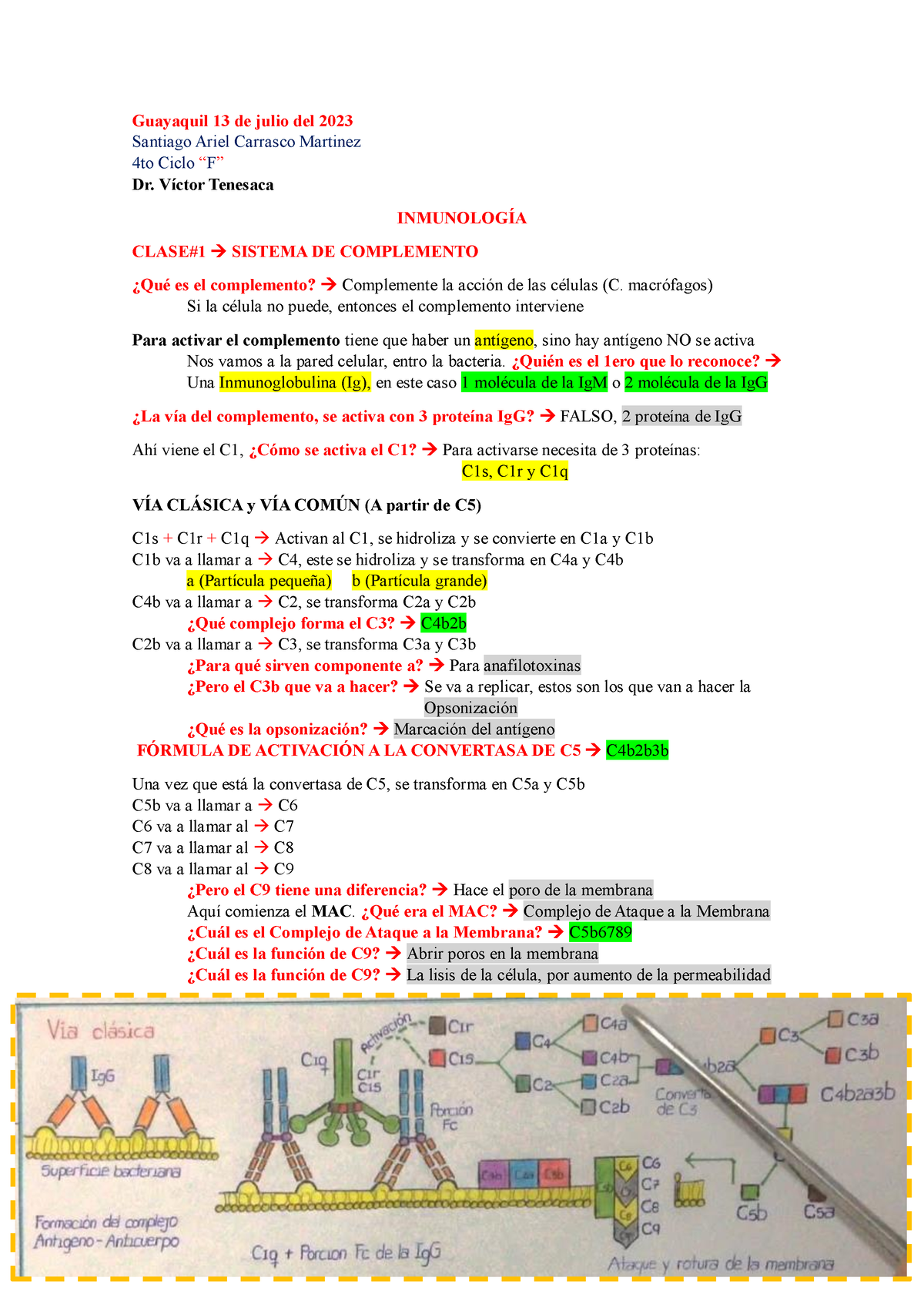 Apuntes De Inmunología 2do Parcial Guayaquil 13 De Julio Del 2023