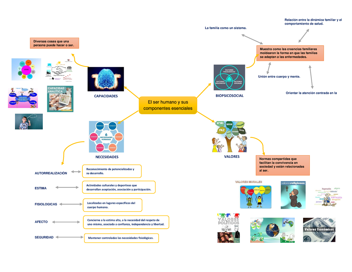 527809706 Mapa Mental El Ser Humano Y Sus Componentes El Ser Humano Y