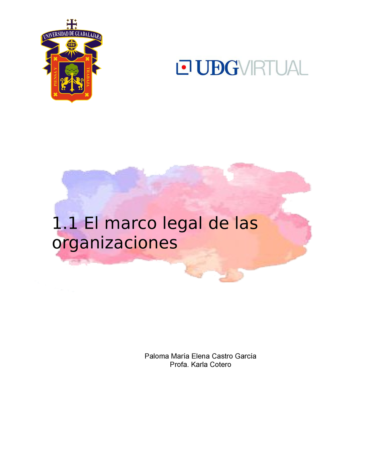 11 El Marco Legal De Las Organizaciones Paloma María Elena Castro