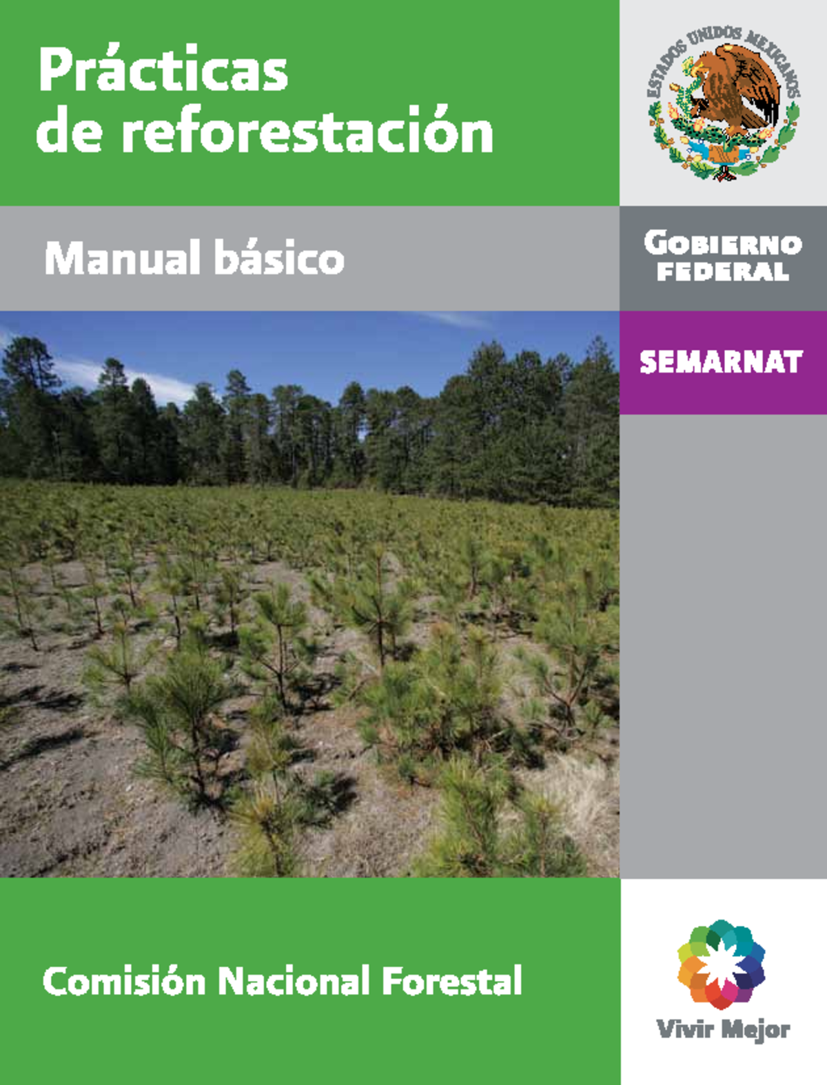 Manual Practicas De Reforestación De Arboles En México El Manual