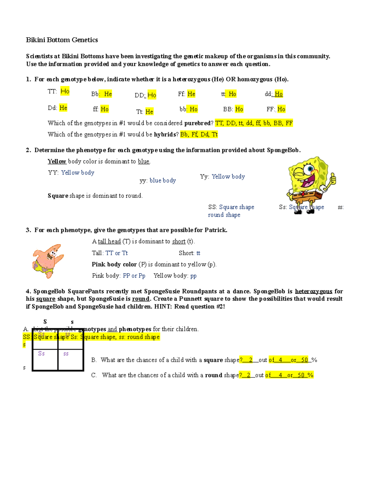 Sponge Bob Genetics Assignment Studyguide Bikini Bottom Genetics